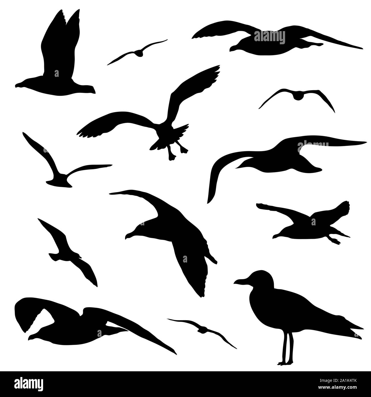 Silhouette De La Mouette Banque Dimages Détourées Alamy