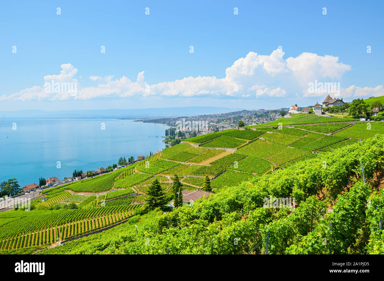 Paysage magnifique dans la région viticole de Lavaux, en Suisse. L'aire ...