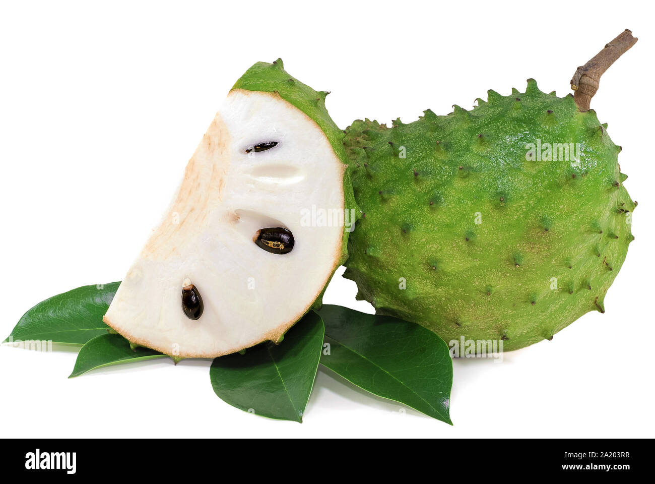 Le corossol Banque de photographies et d’images à haute résolution - Alamy