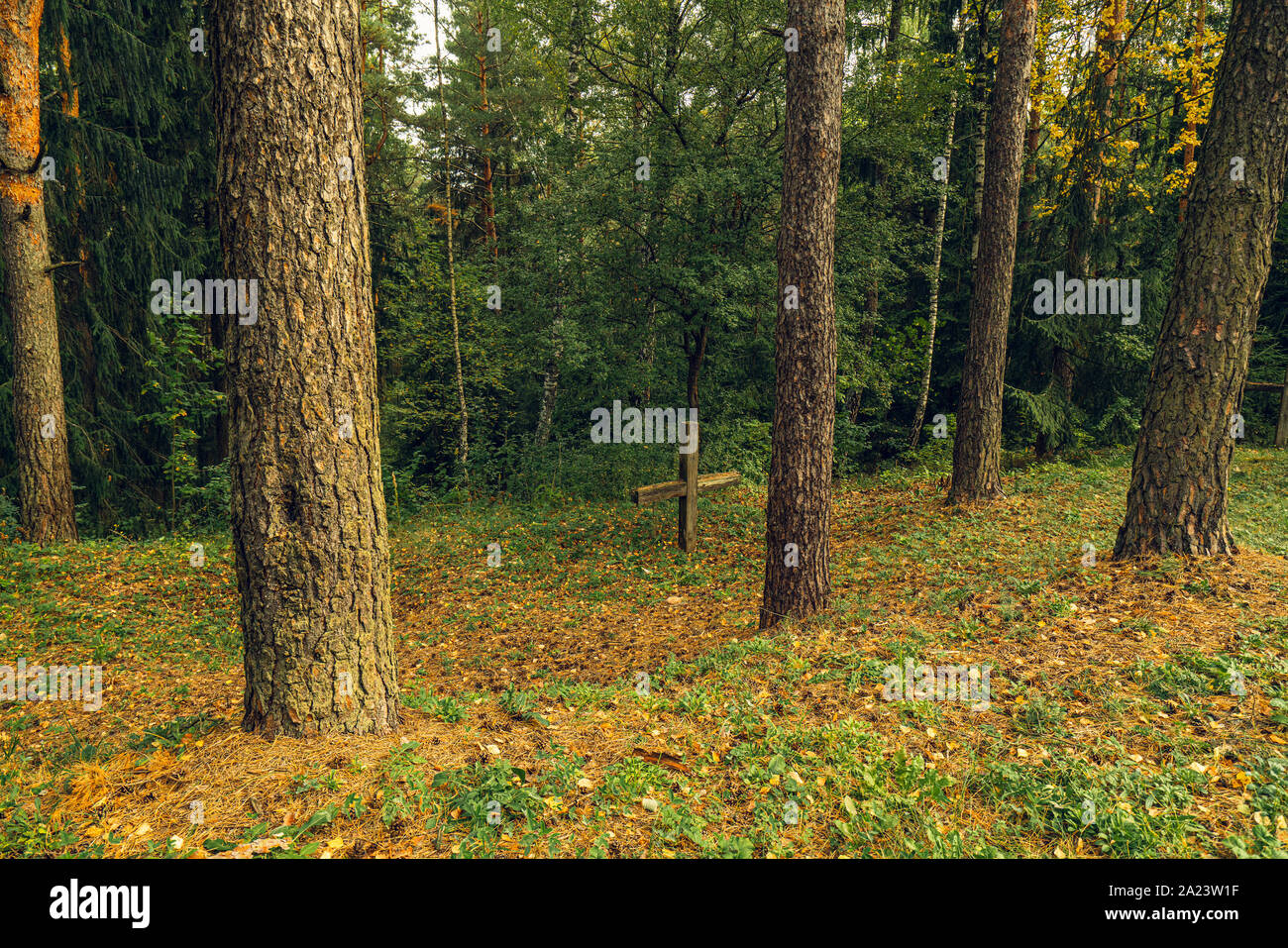 Nkvd execution Banque de photographies et d’images à haute résolution ...