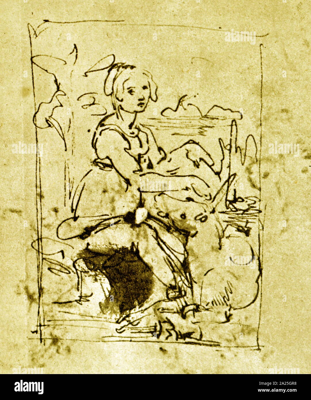 Étude pour une Vierge à la Licorne par Leonardo da Vinci. Leonardo di ...