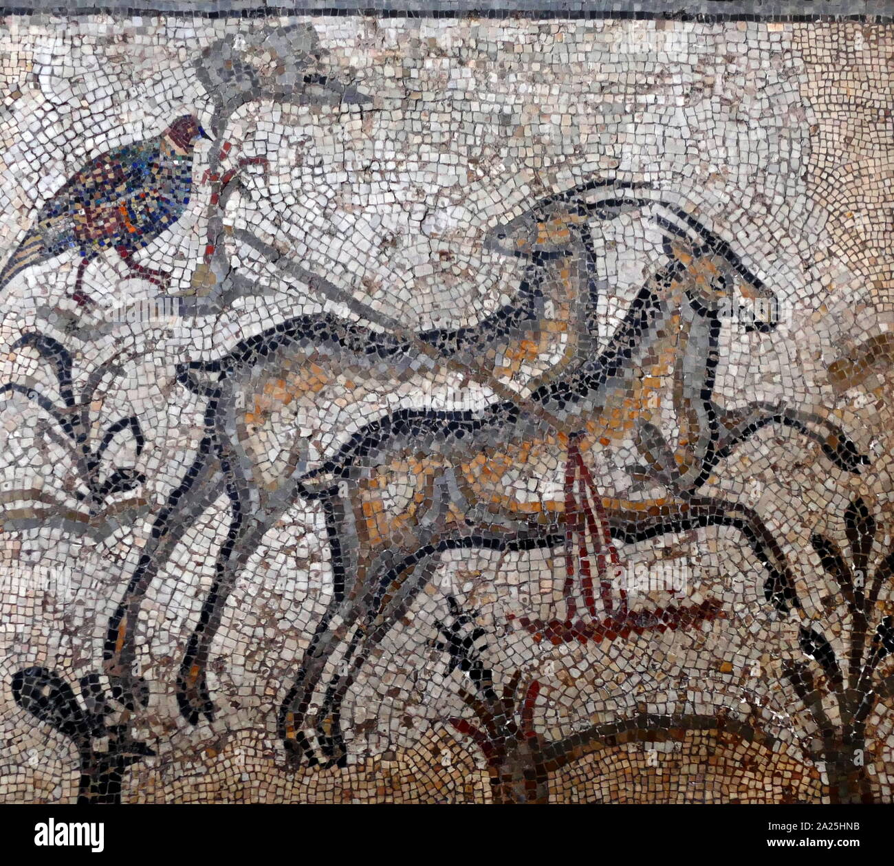 Roman empire and mosaic Banque de photographies et d’images à haute ...