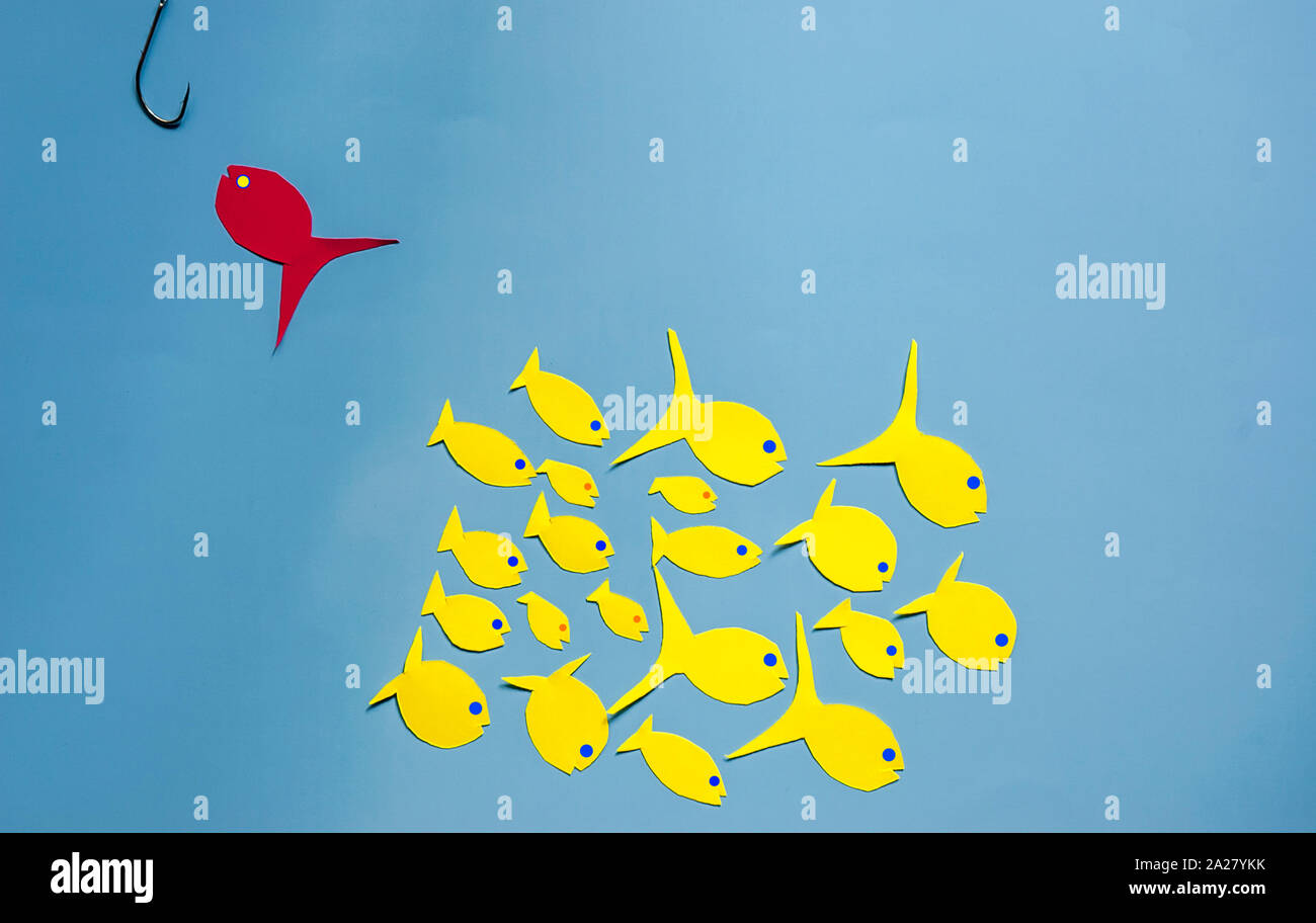 Poisson tropical noir et jaune Banque de photographies et d’images à ...