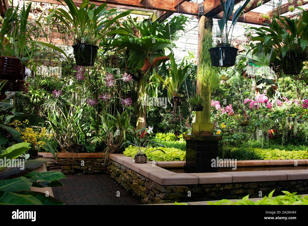Dorothy chapman fuqua conservatory Banque de photographies et d’images ...