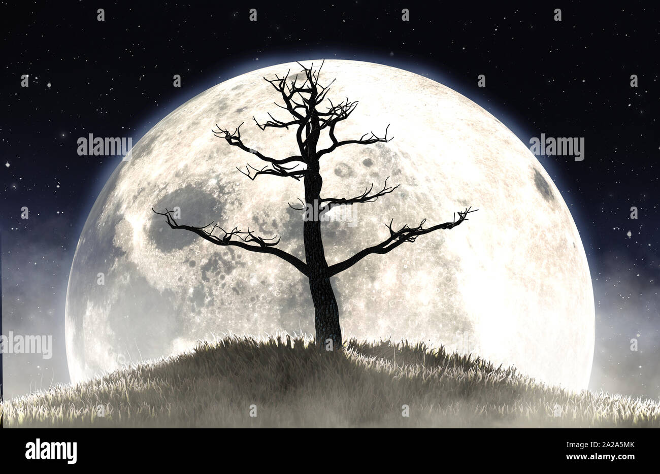 Arbre lunaire Banque de photographies et d’images à haute résolution ...