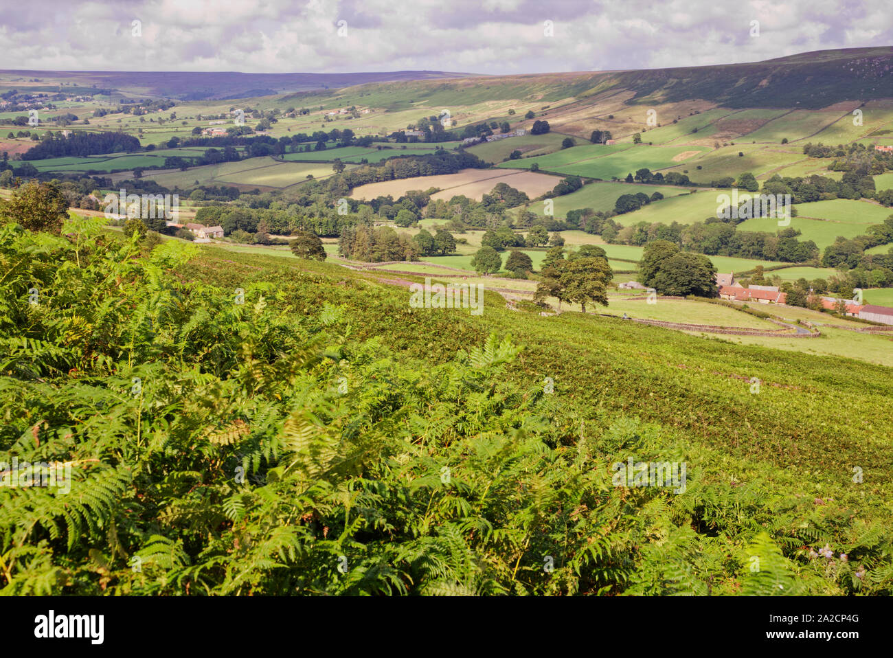 Yorkshire Field Banque d'image et photos - Alamy