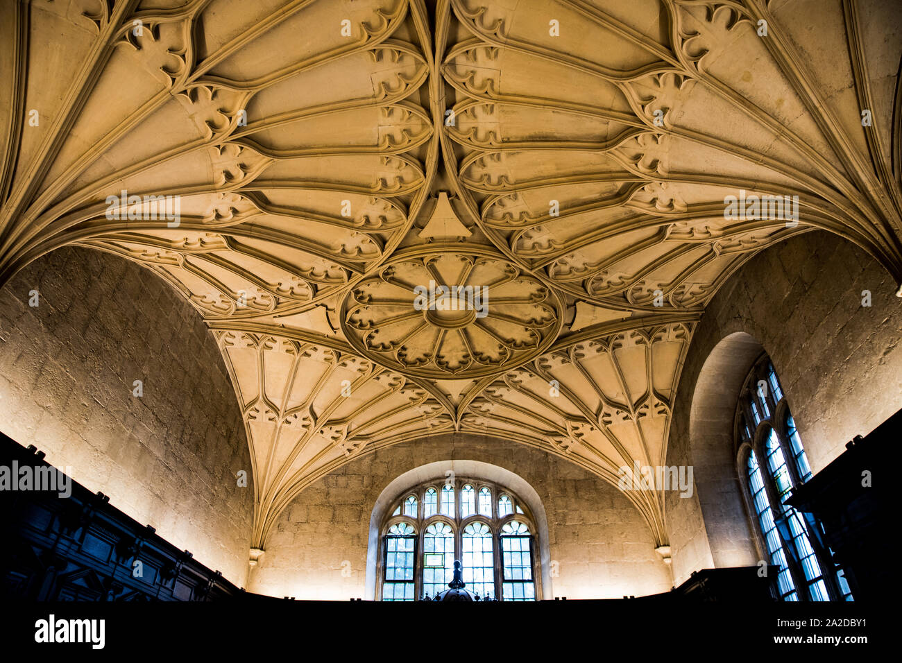 Ceiling of bodleian library Banque de photographies et d’images à haute ...