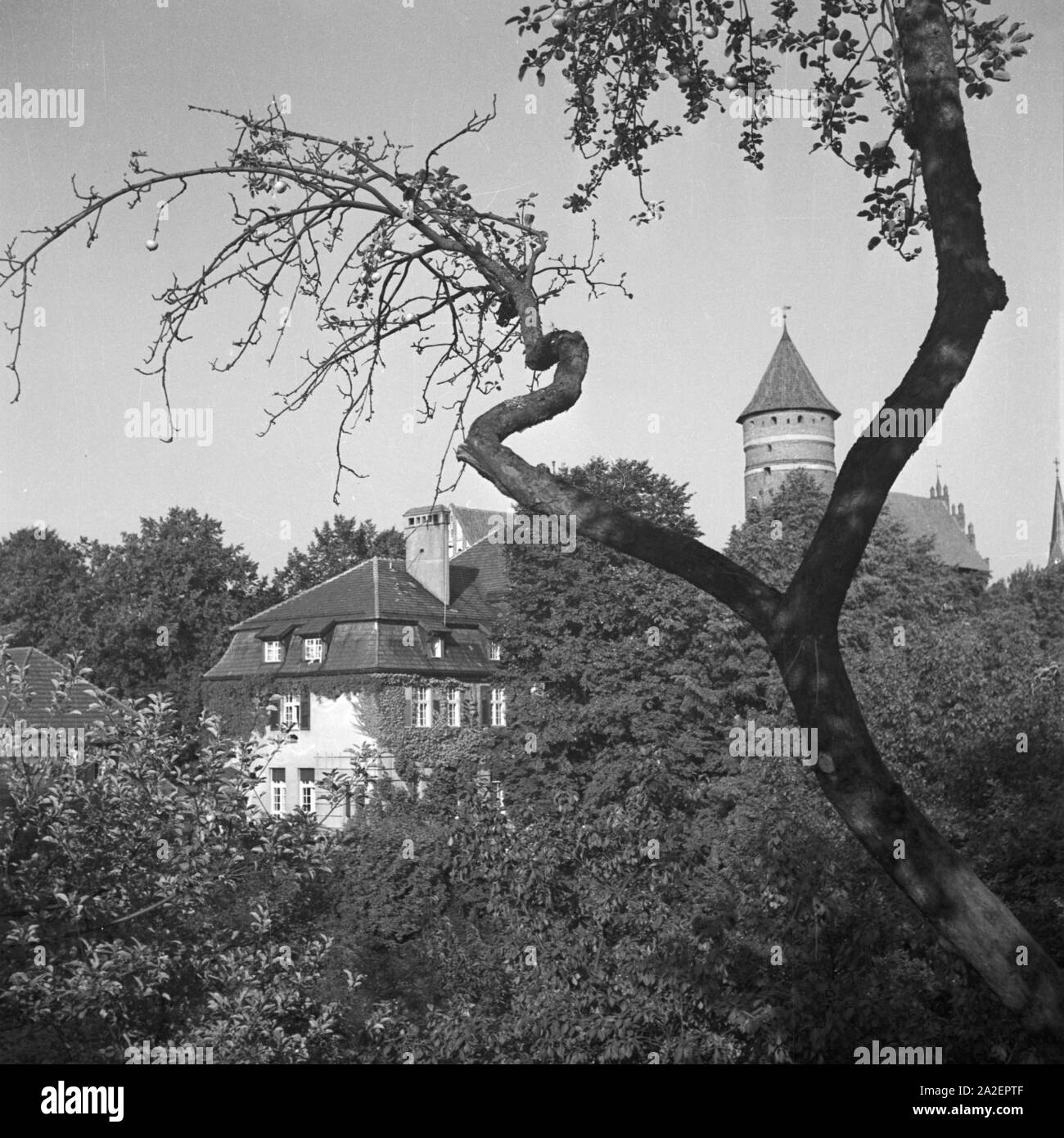 Das ordensschloss in allenstein in ostpreussen Banque de photographies ...