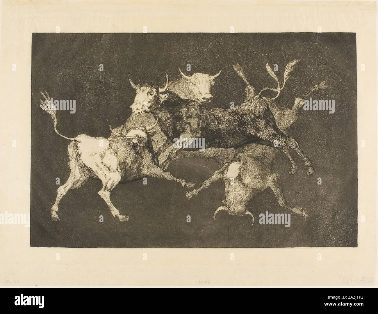 By francisco de goya the disparates Banque de photographies et d’images ...