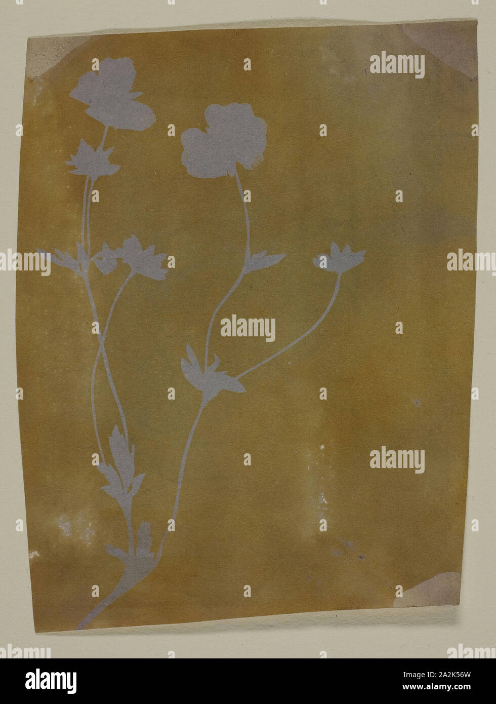 Ammoniaque eau Banque de photographies et d’images à haute résolution ...