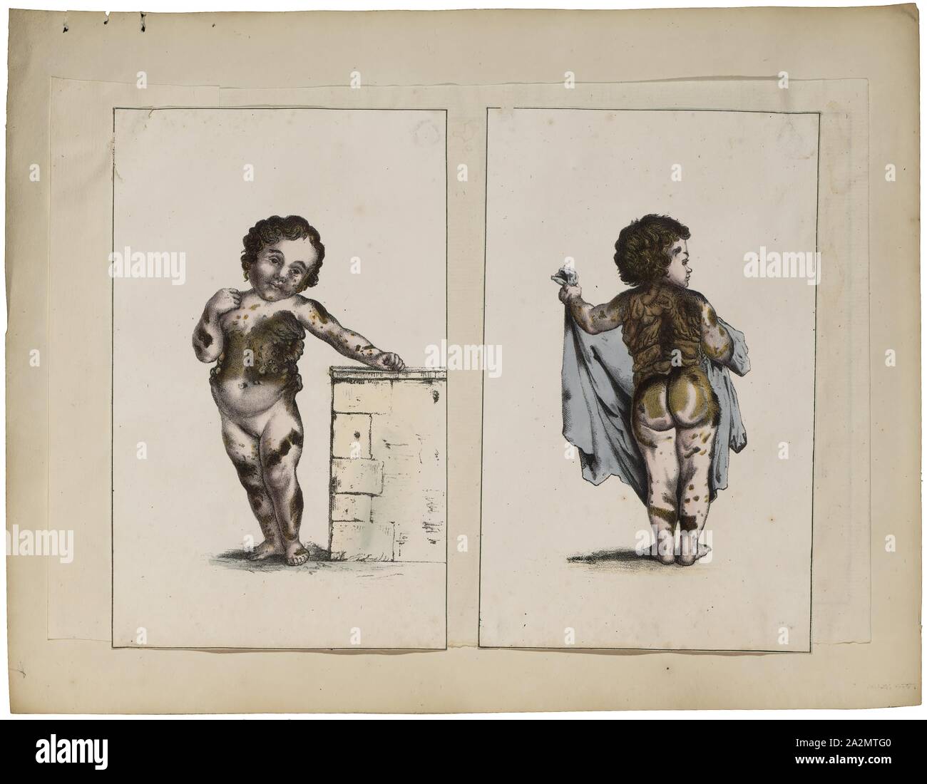 Espèce humaine existante Banque de photographies et d’images à haute ...