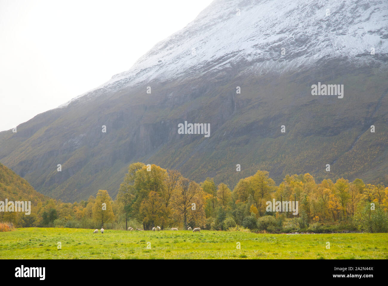 Signaldalen valley Banque de photographies et d’images à haute ...