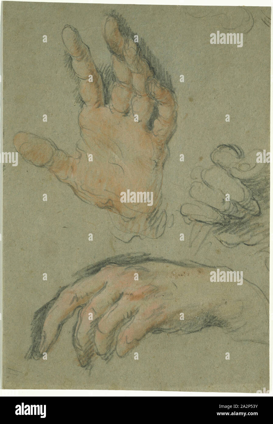 Pastel et pierre noire sur papier gris Banque de photographies et d ...
