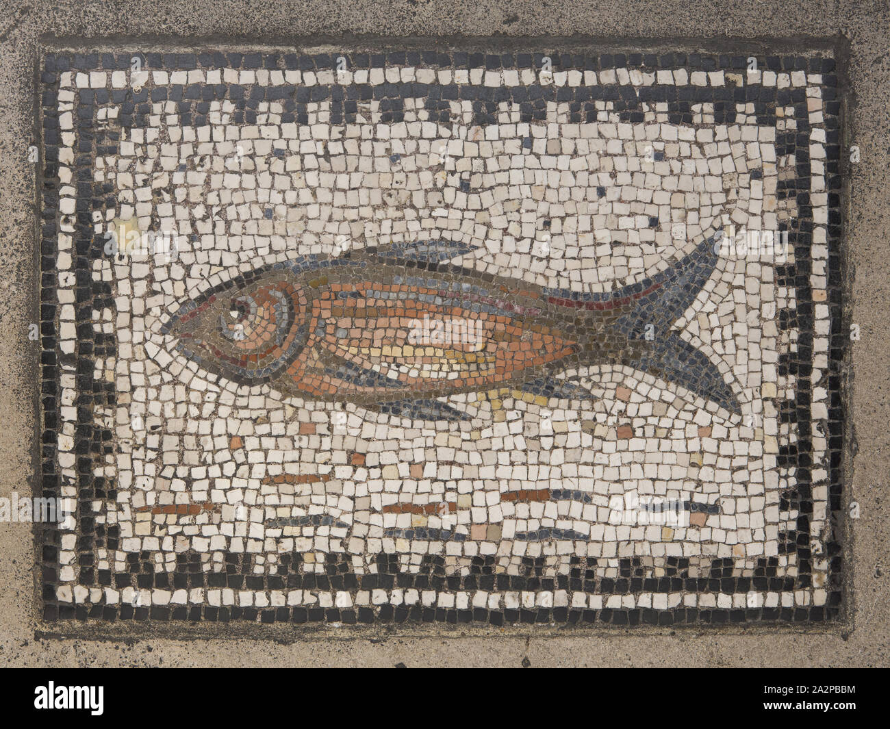 Roman fish mosaic Banque de photographies et d’images à haute ...