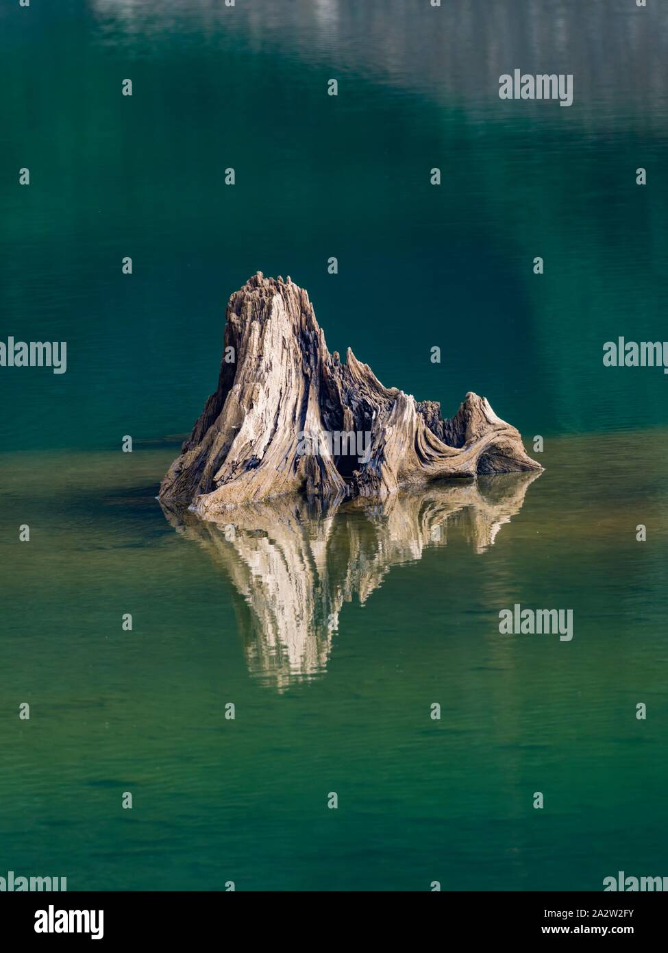 Mise en miroir image miroir image miroir Banque de photographies et d ...