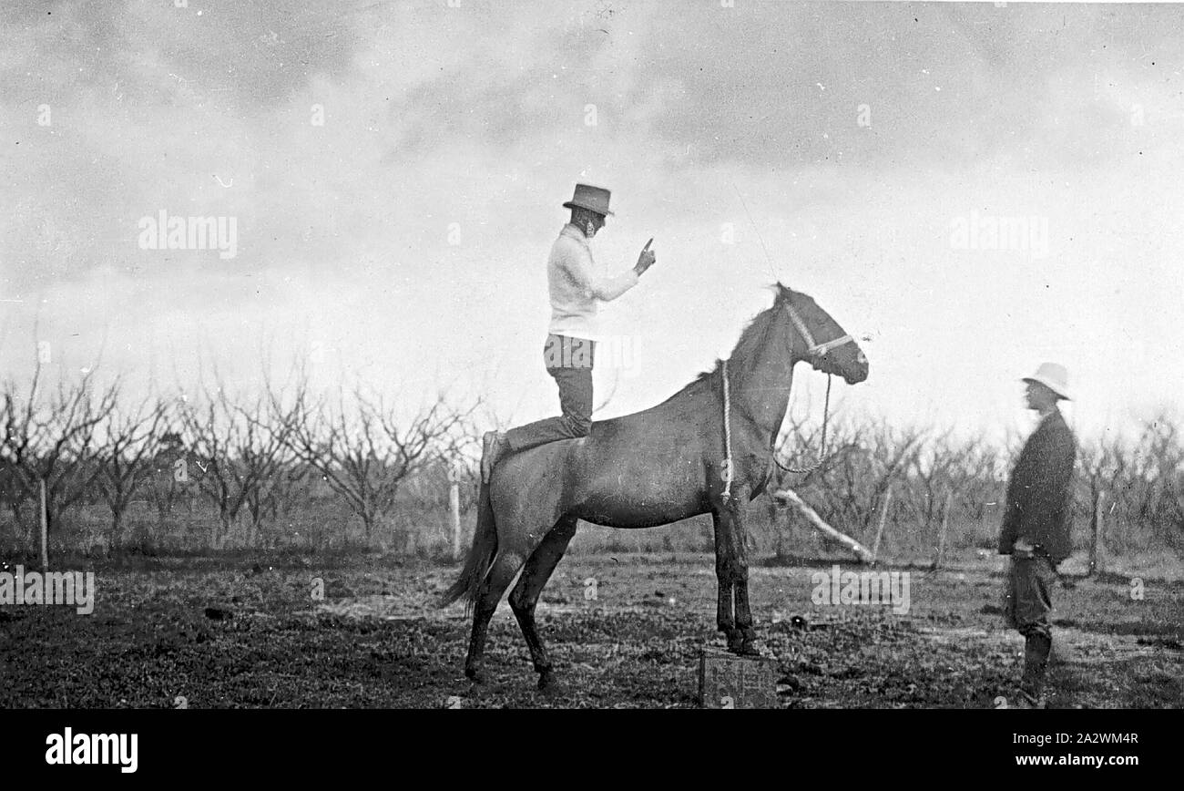 Kneeling horse Banque de photographies et d’images à haute résolution ...