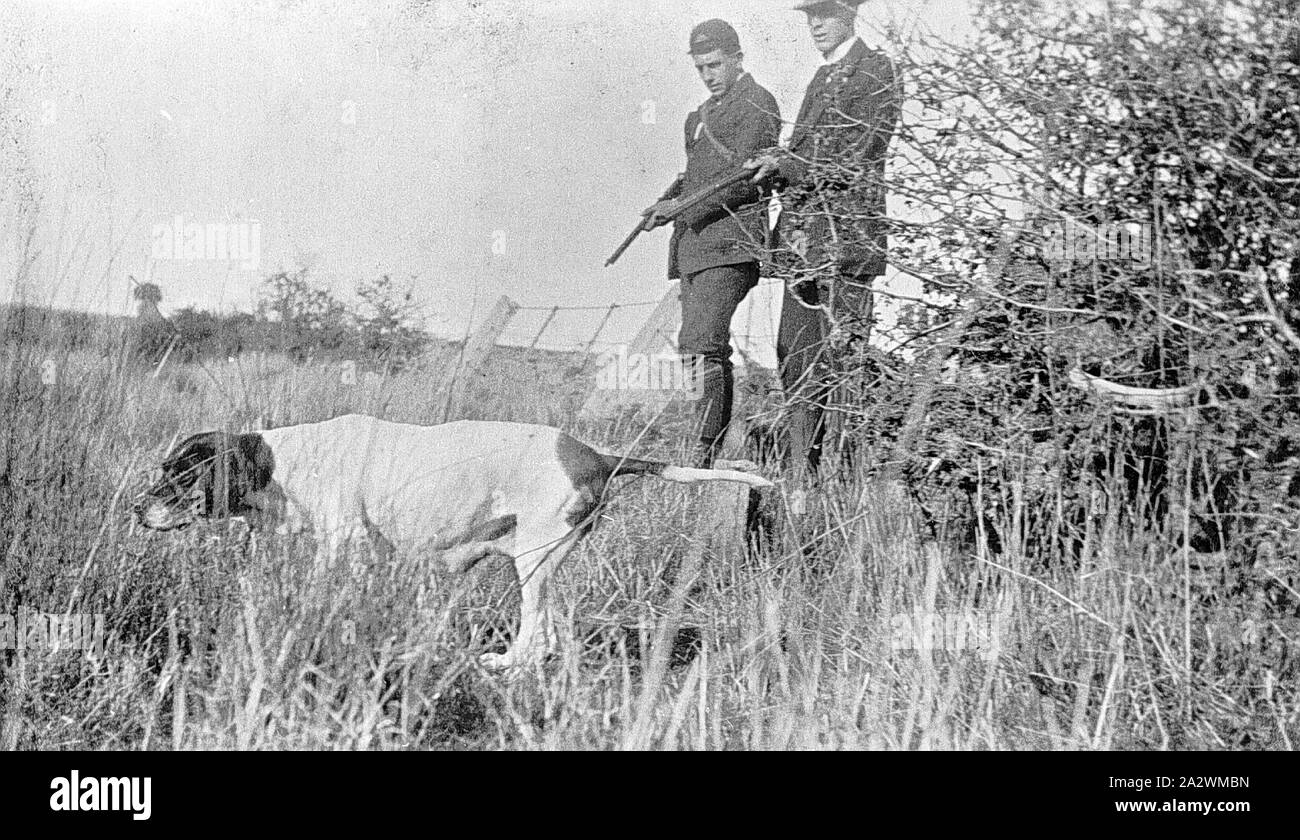 Négatif - Deux hommes et un chien de chasse pointer la caille, District ...