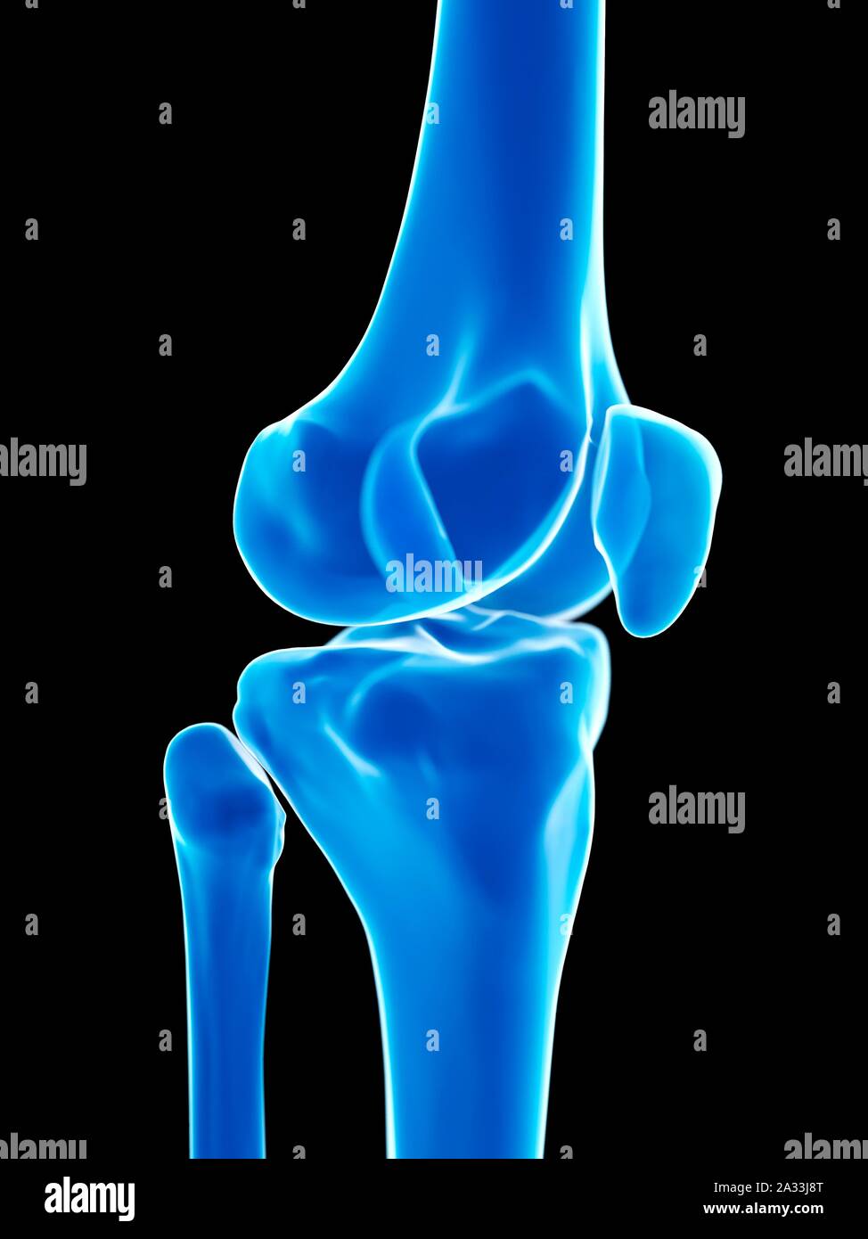Anatomie du genou, illustration Photo Stock - Alamy