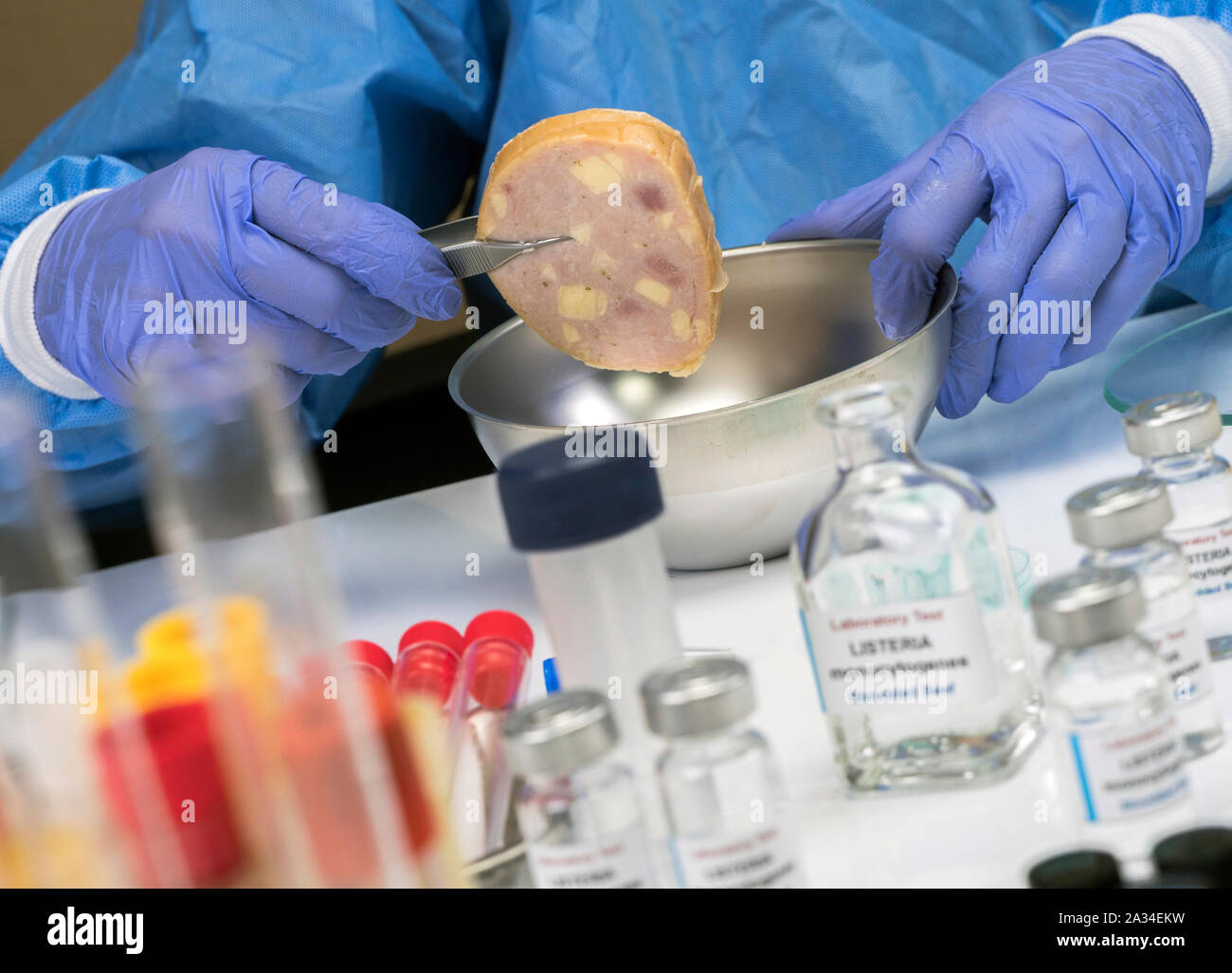 Listeria monocytogenes bacterium Banque de photographies et d’images à ...