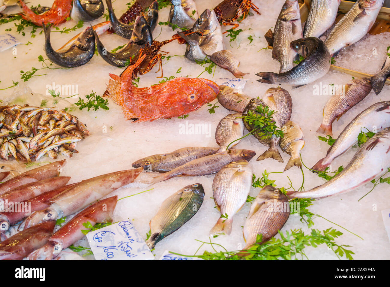 Pêche au thon de sicile Banque de photographies et d’images à haute ...