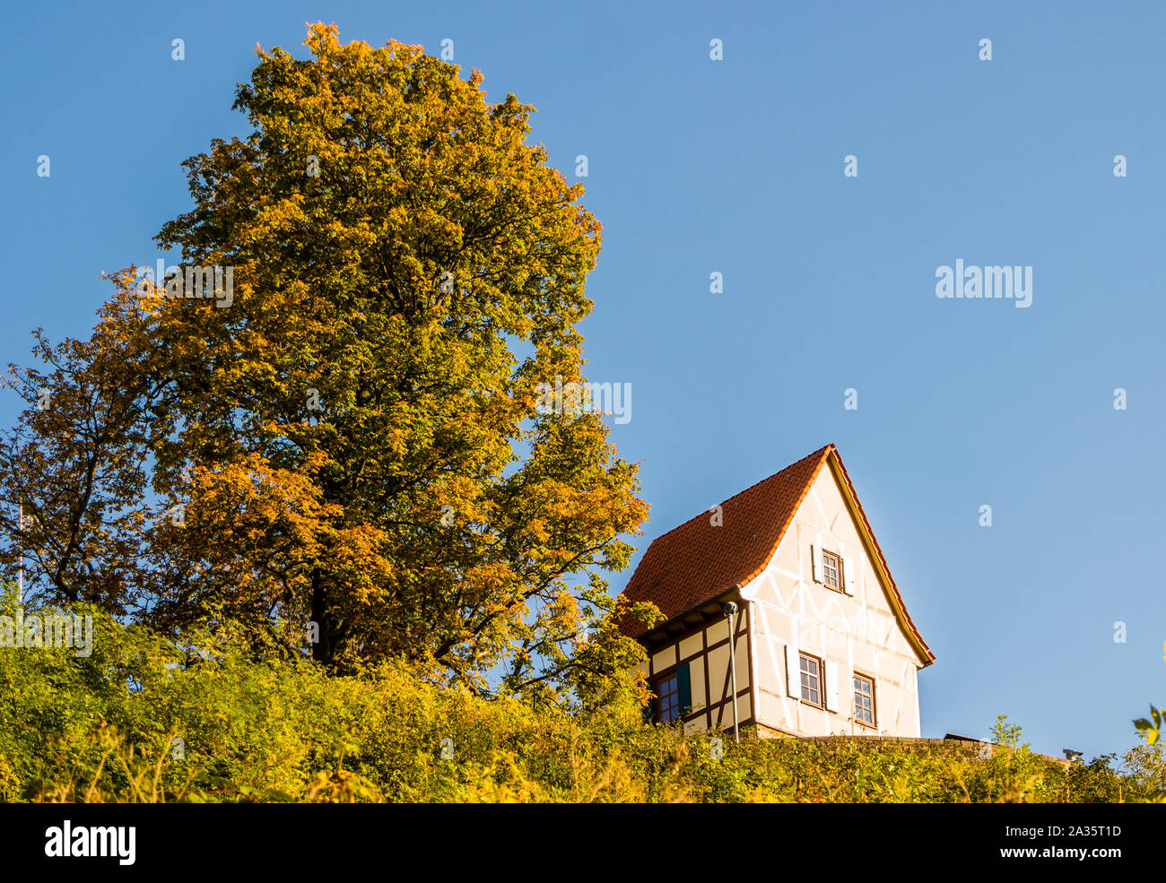 Konigsberg castle Banque de photographies et d’images à haute ...
