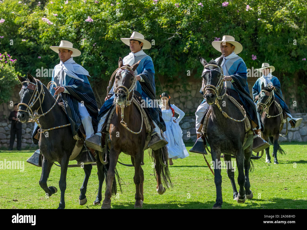Vallée Sacrée, Pérou - 05/21/2019 : Beau cheval péruvien traditionnel ...