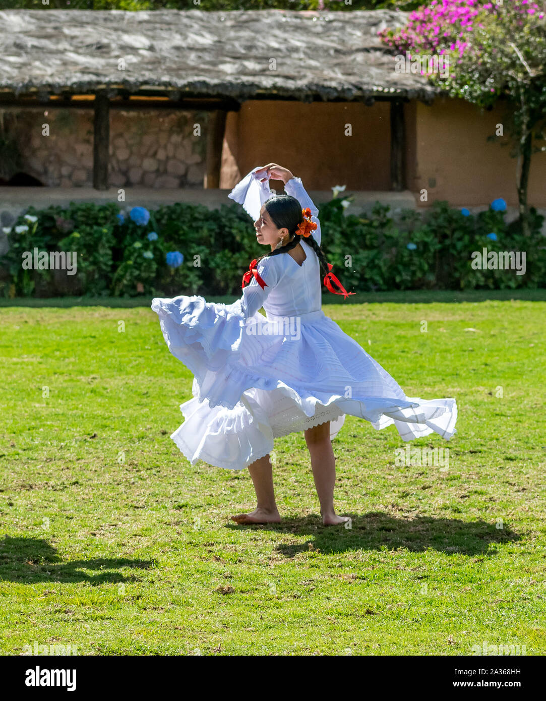 Chevaux performants Banque de photographies et d’images à haute résolution - Alamy