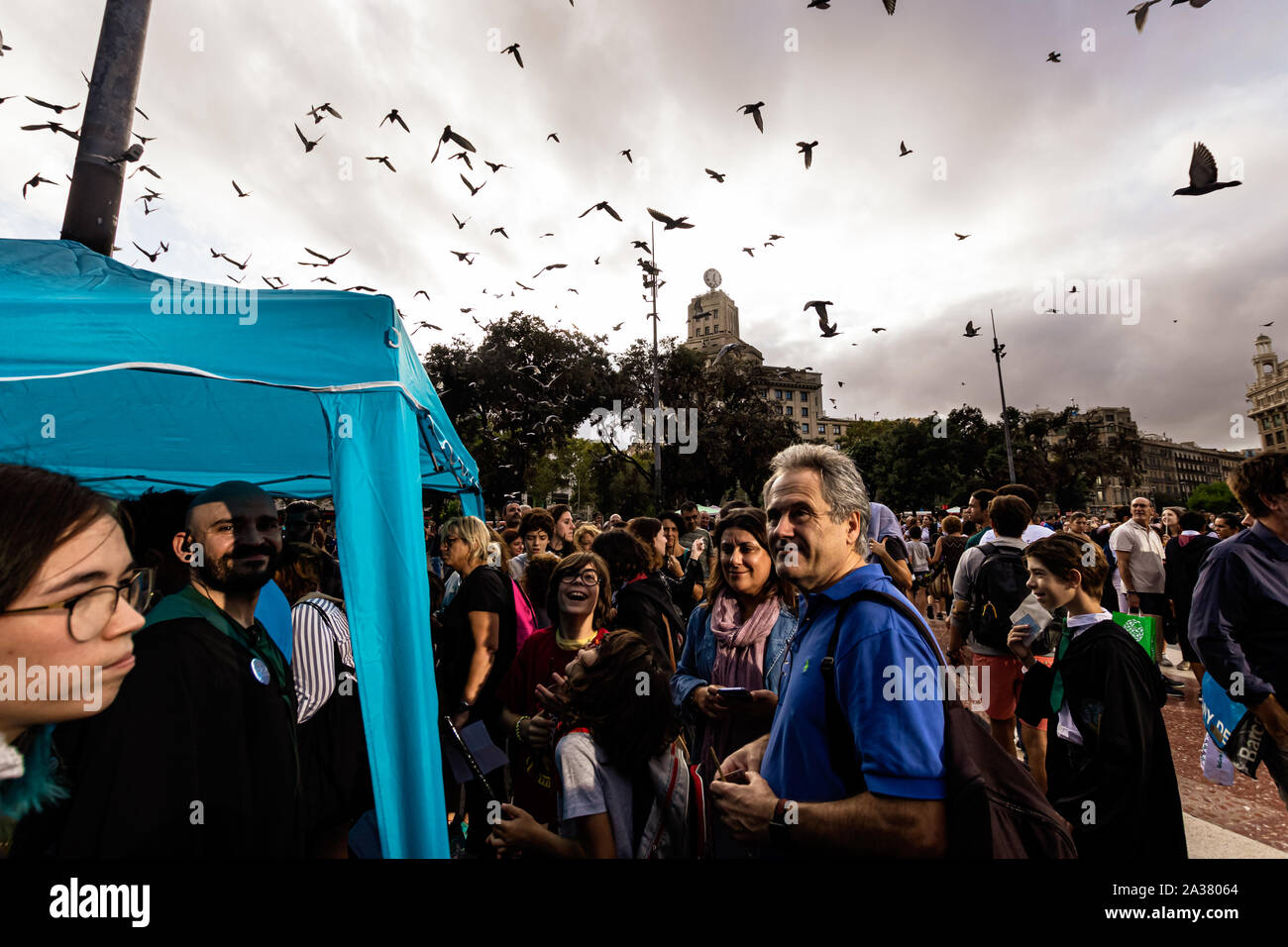 Scared pigeons Banque de photographies et d’images à haute résolution ...