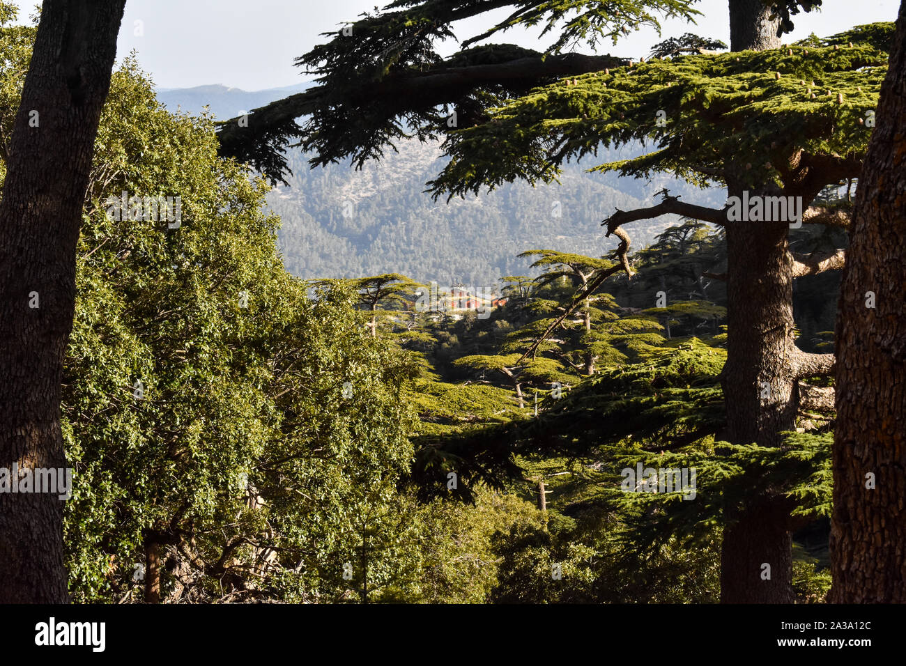 Atlas mount Banque d'image et photos - Page 2 - Alamy
