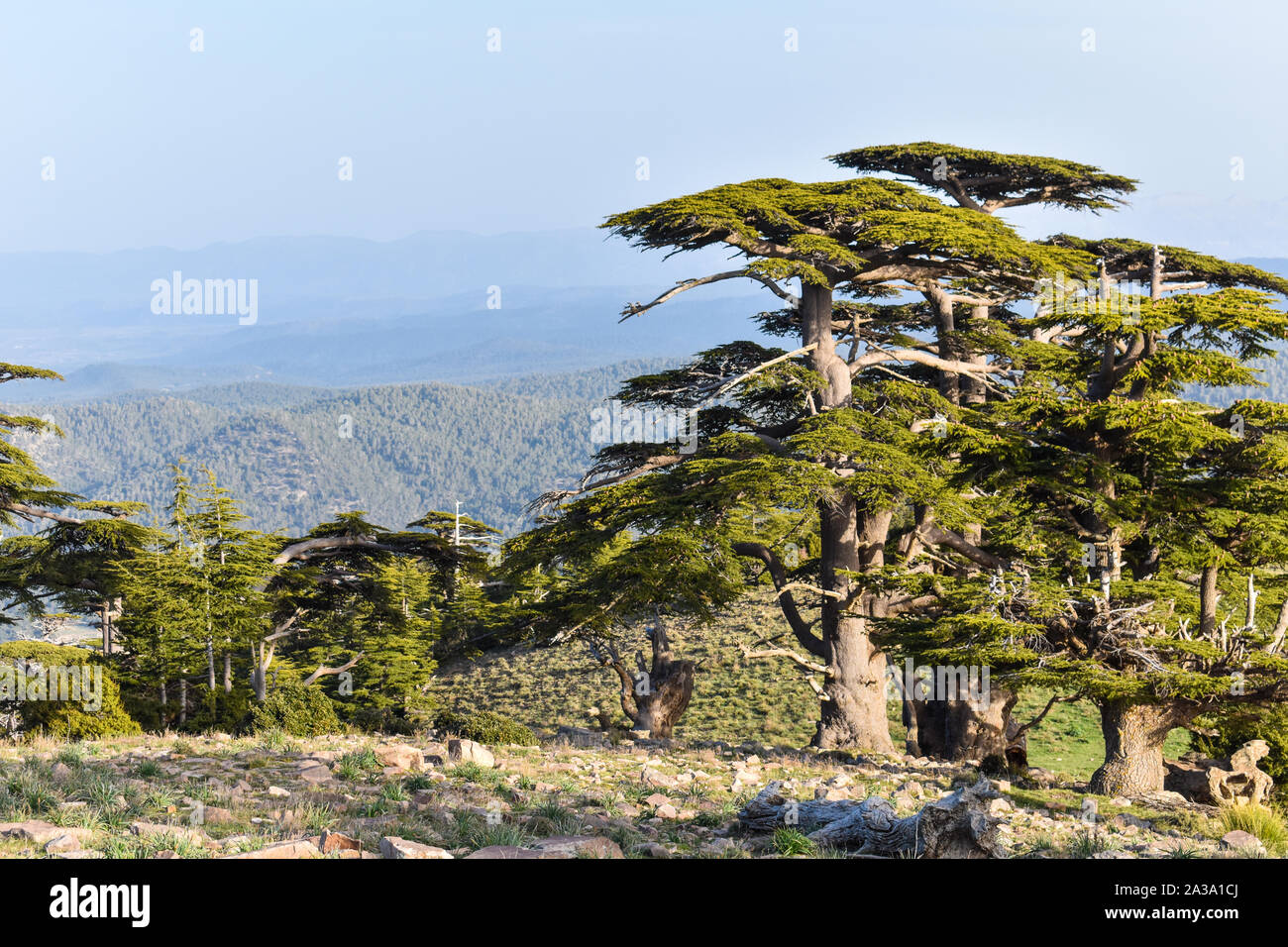Les montagnes des aurès Banque de photographies et d’images à haute ...