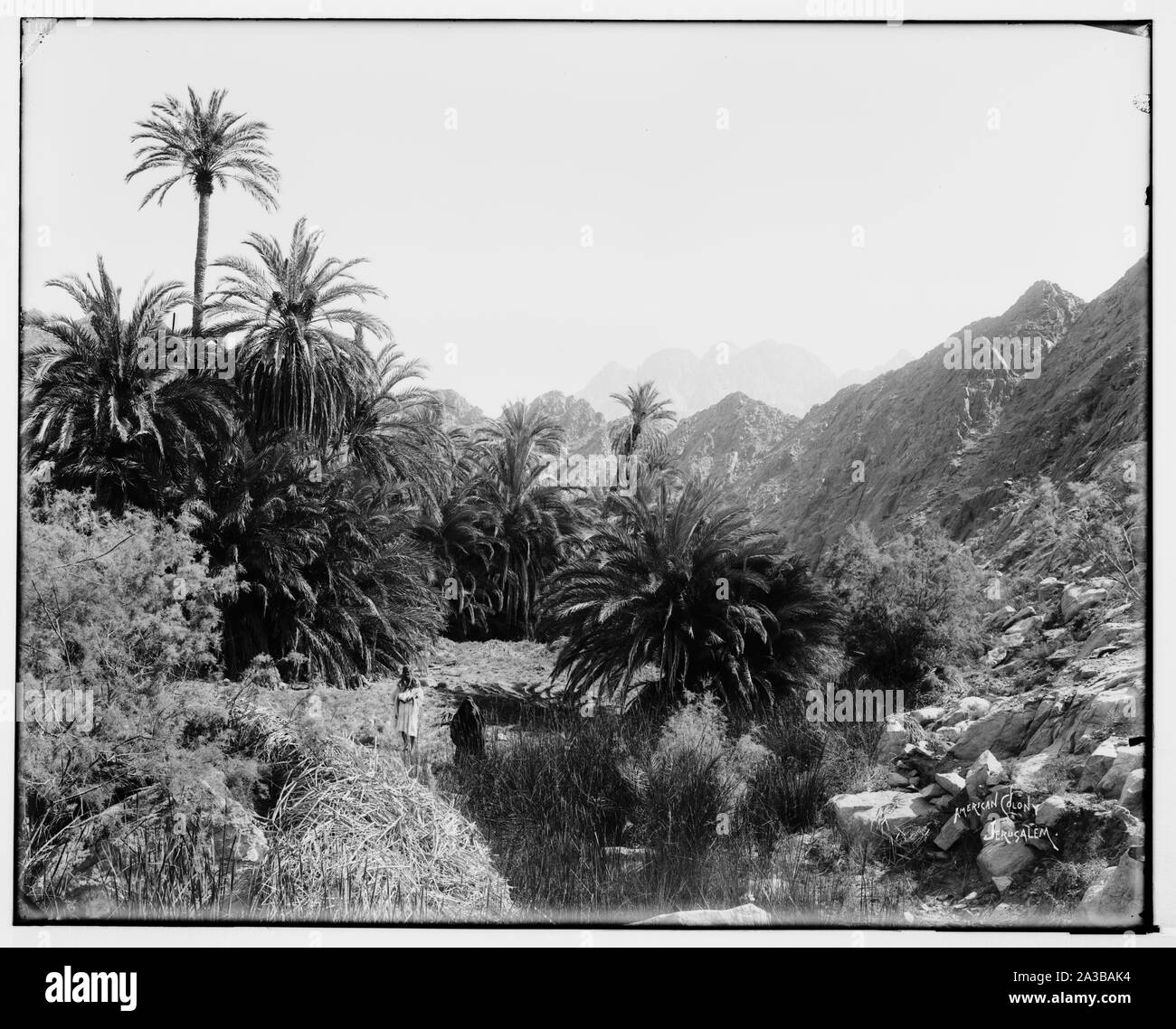 Jebel serbal Banque de photographies et d’images à haute résolution - Alamy