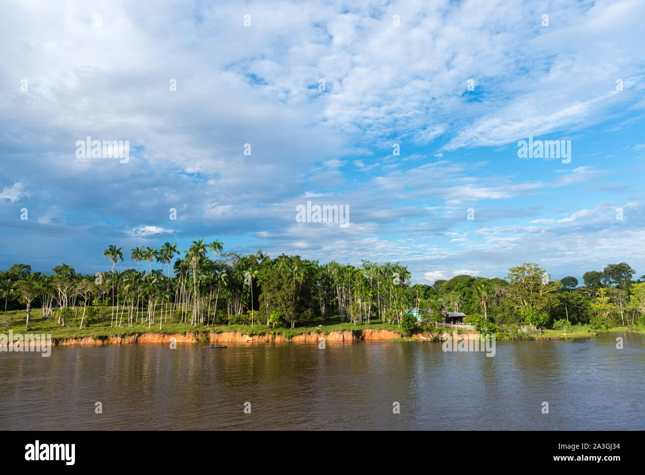 Tefe brazil Banque de photographies et d’images à haute résolution - Alamy
