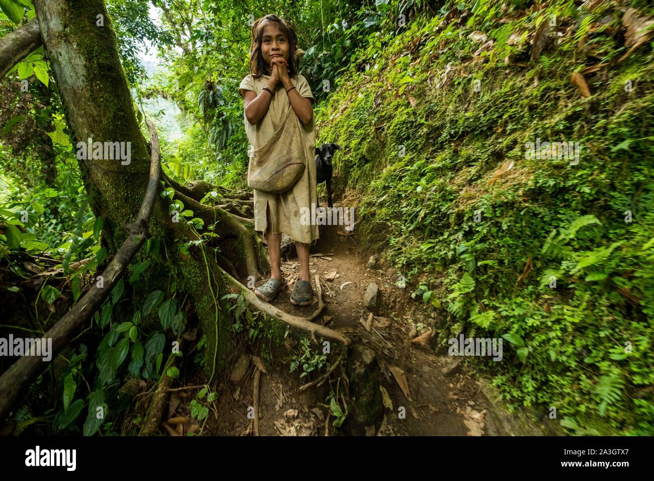 La ciudad perdida de colombia Banque de photographies et d’images à ...