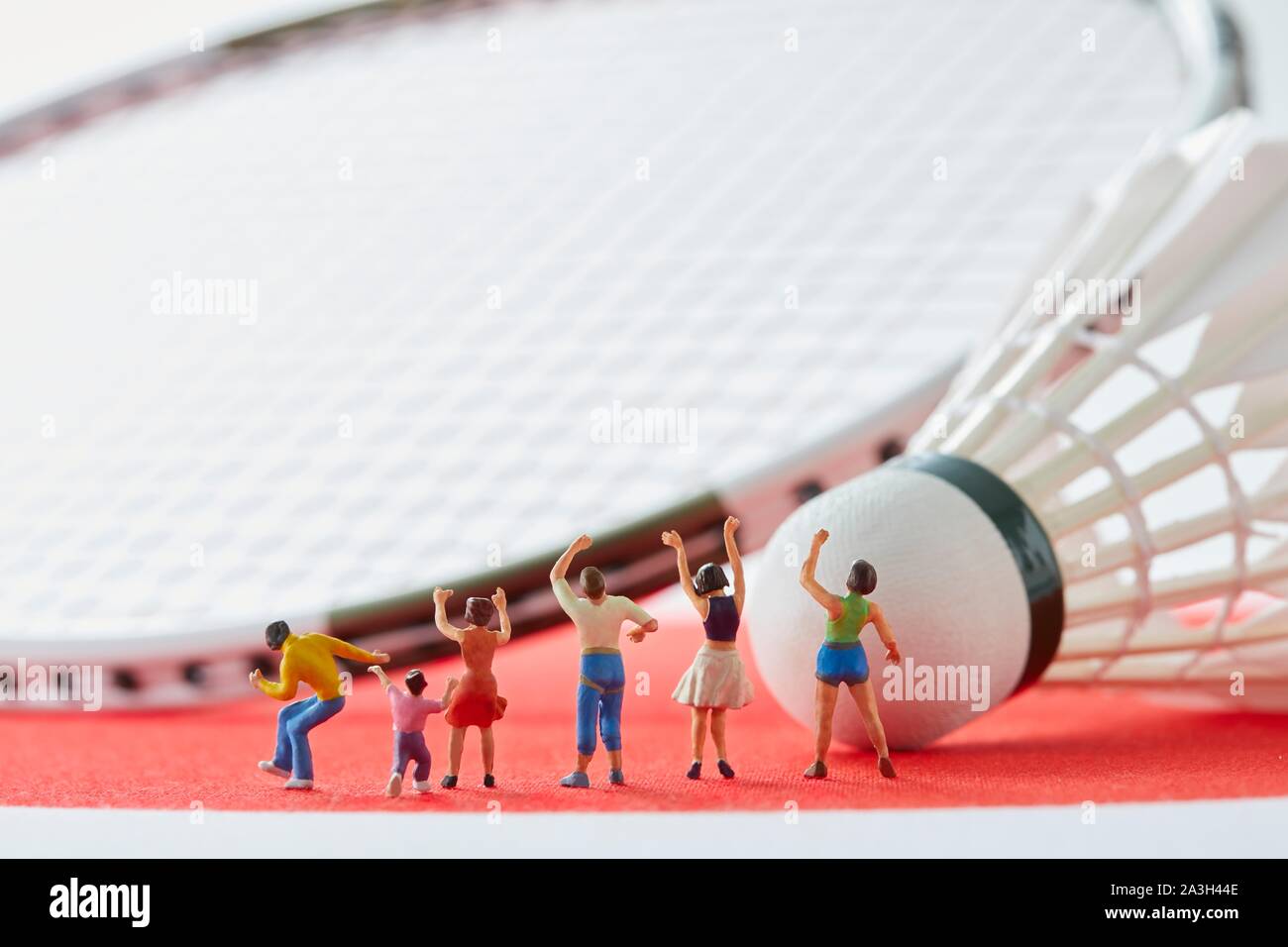 Badminton miniature Banque de photographies et d’images à haute ...