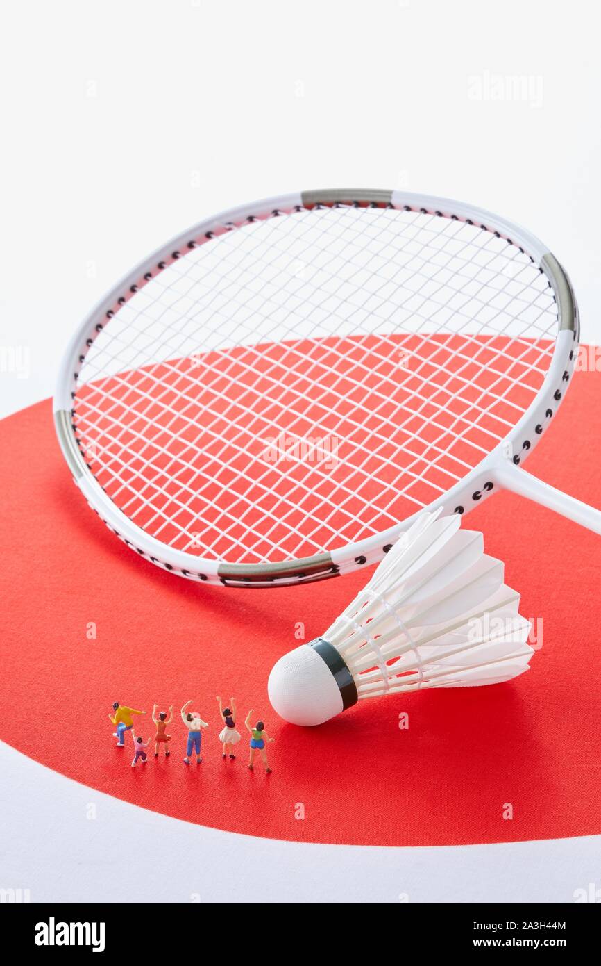 Jeu de badminton miniature Banque de photographies et d’images à haute ...