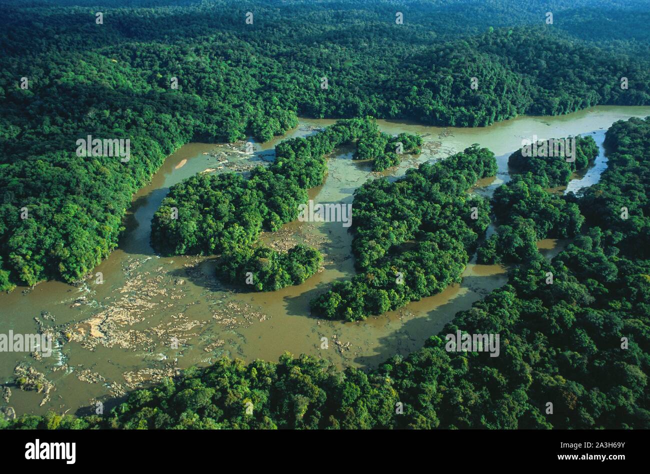 France, Guyane, fleuve dans la forêt amazonienne du ciel (vue aérienne ...