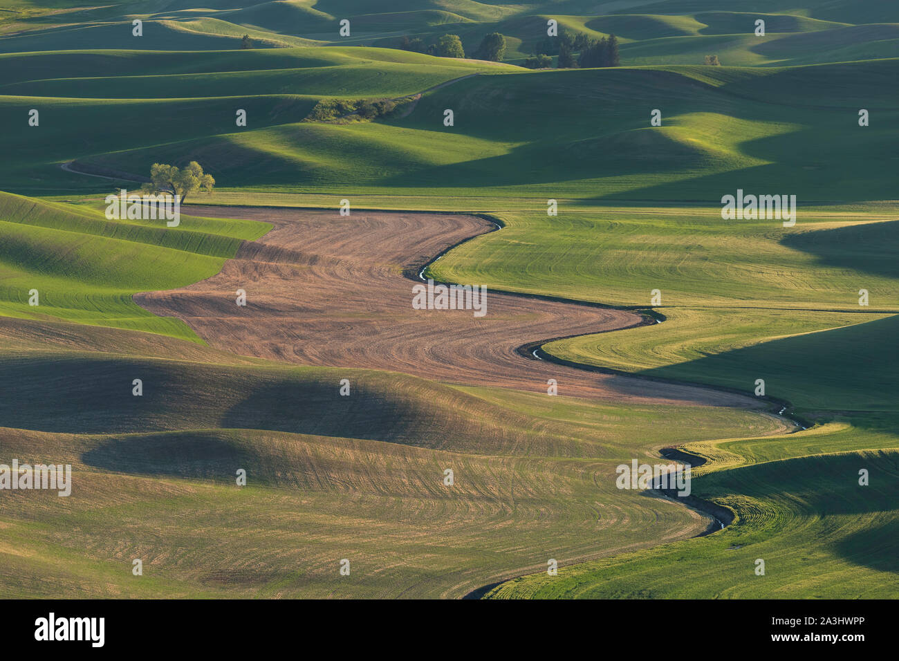 Steptoe butte Banque de photographies et d’images à haute résolution ...
