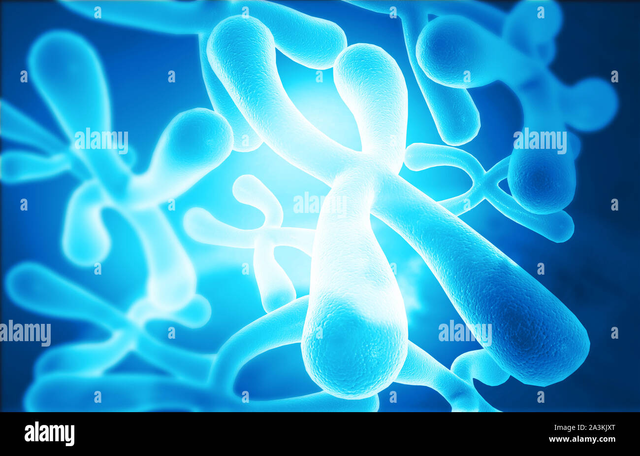 Human chromosomes Banque de photographies et d’images à haute ...