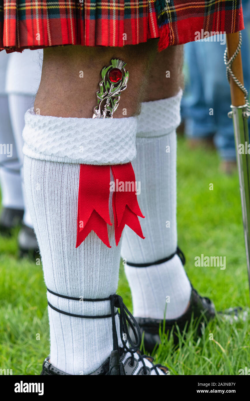 Thistle scotland tartan Banque de photographies et d’images à haute ...