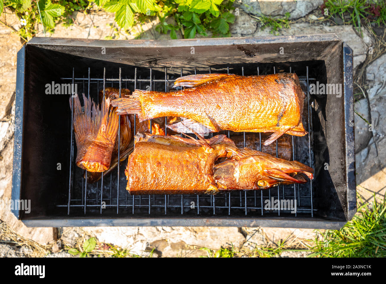 Gros plan du brochet poisson fumer dans le fumoir faites de vieux russe ...