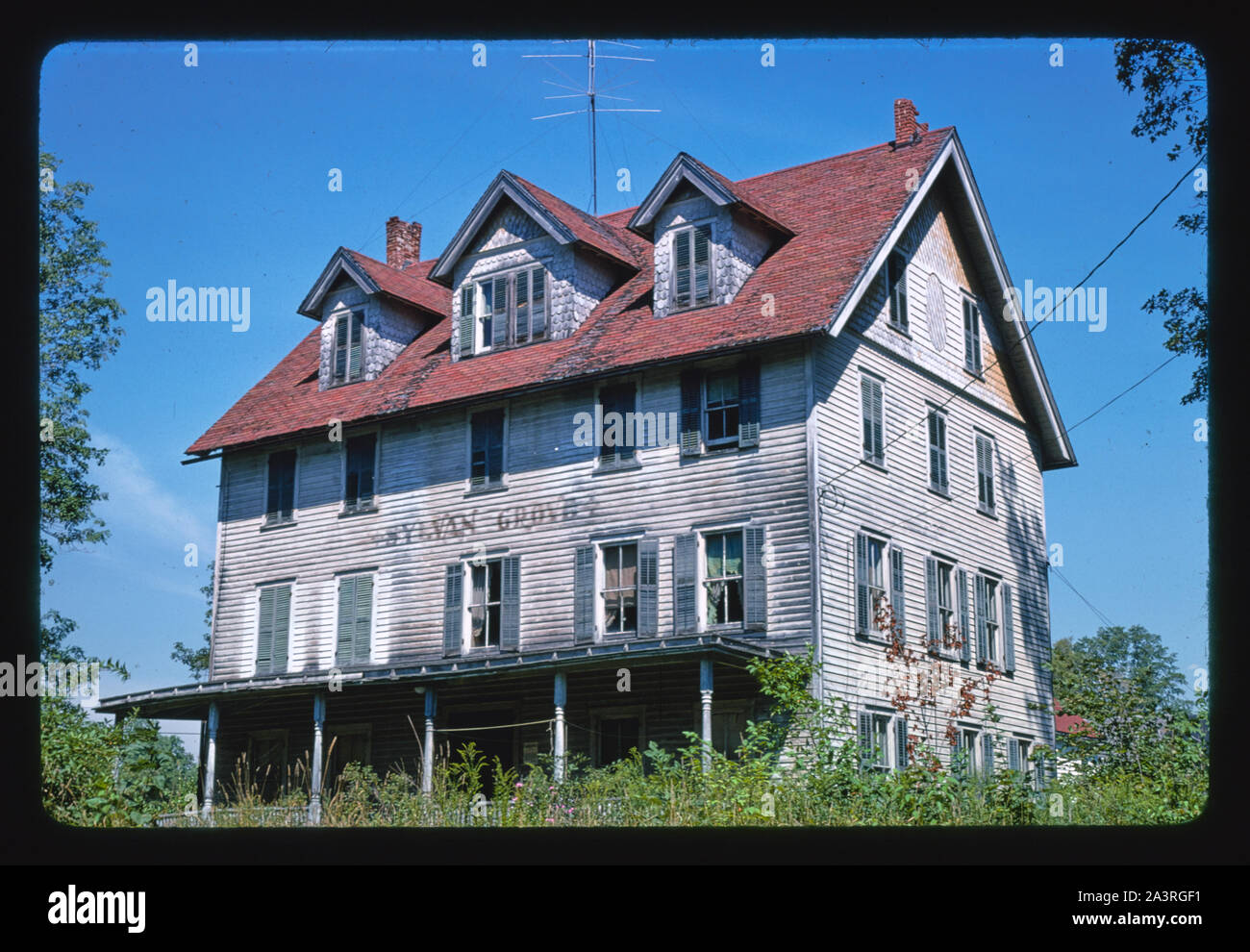 Sylvan grove Banque de photographies et d’images à haute résolution - Alamy