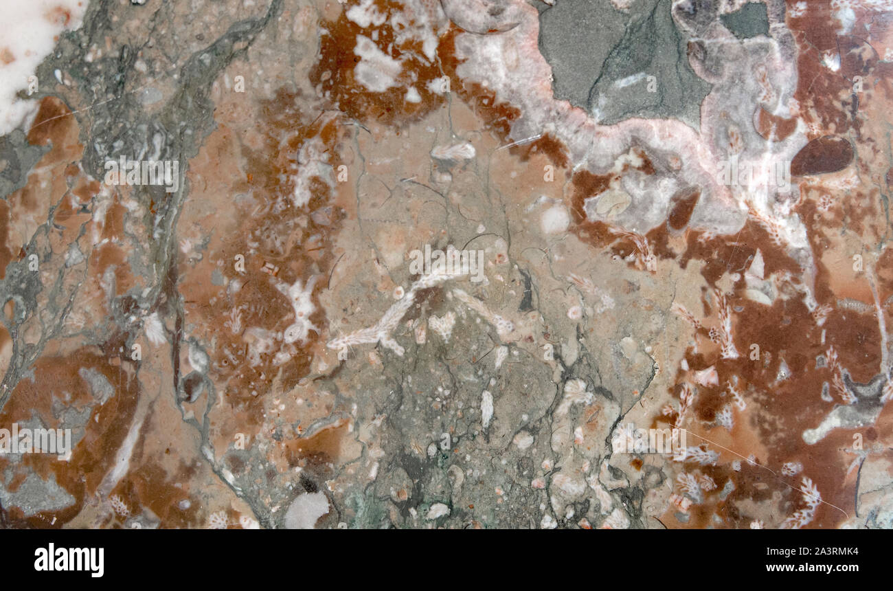 Couleur et texture Banque de photographies et d’images à haute ...