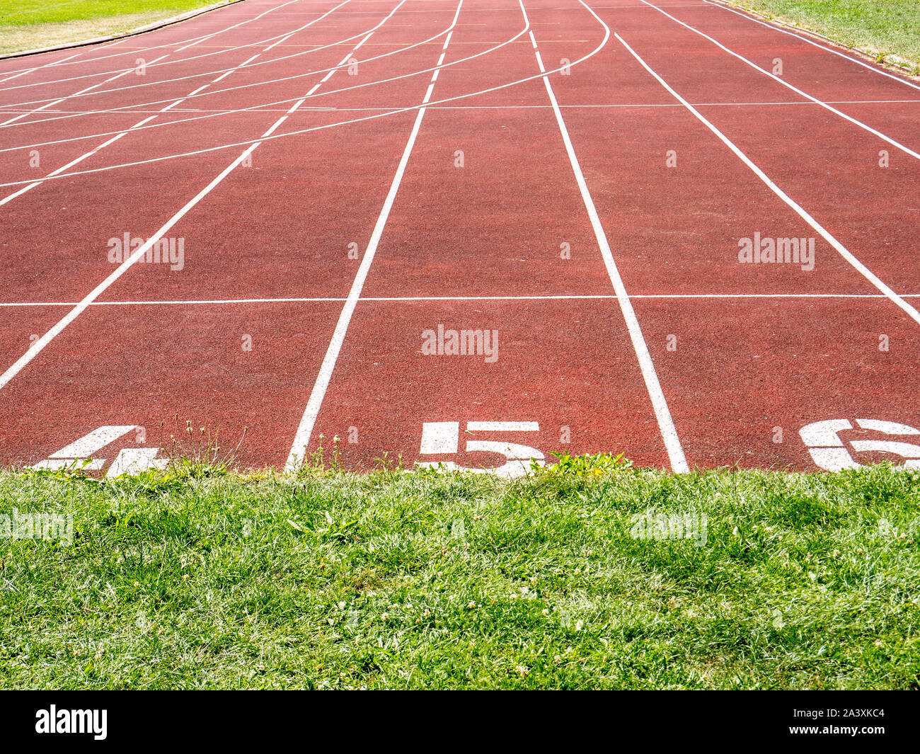 But de tartan Banque de photographies et d’images à haute résolution ...