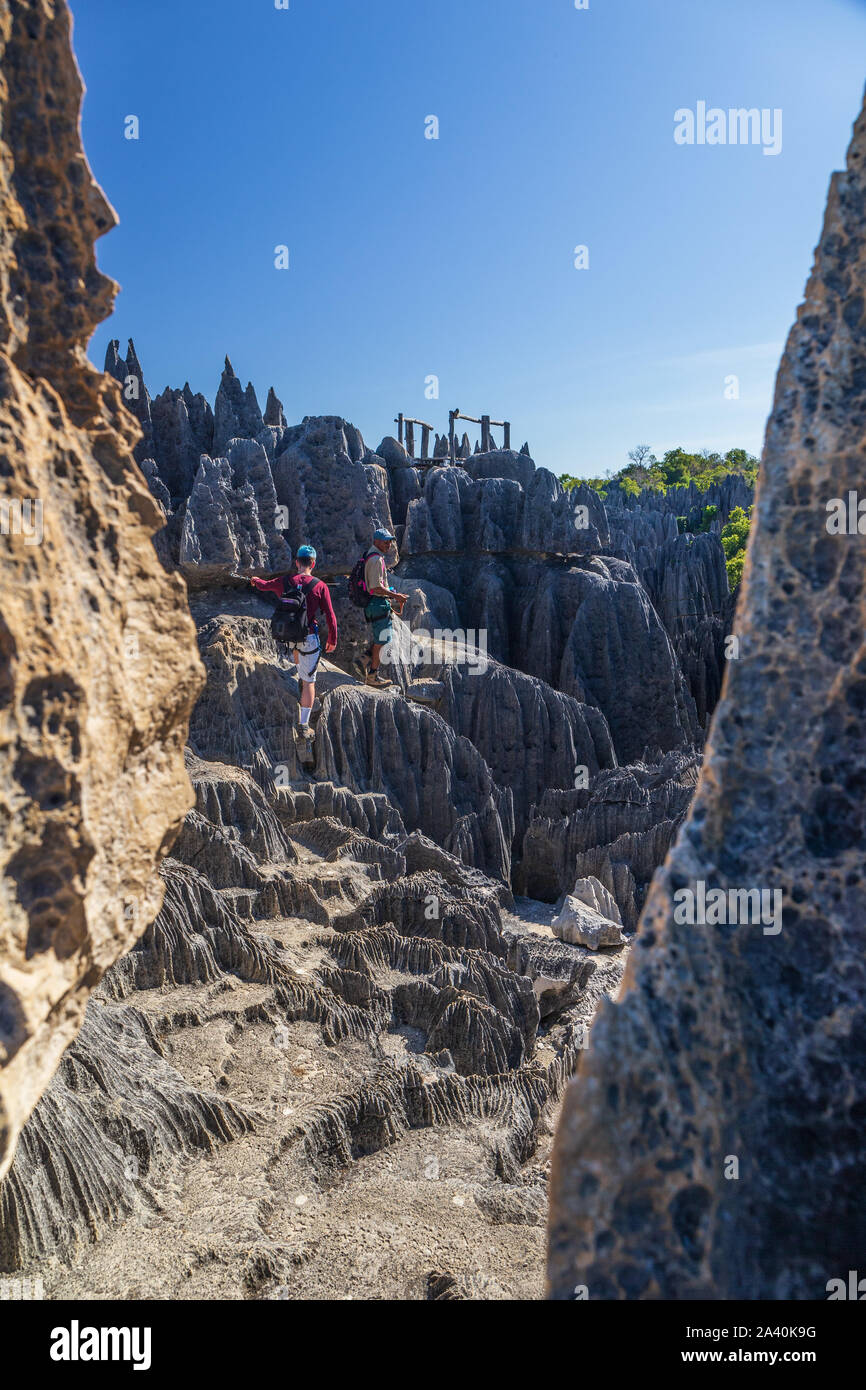 Tsingy de bemaraha national park Banque de photographies et d’images à ...