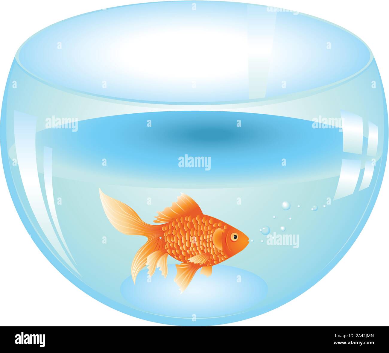 Poissons dans un verre Banque d'images vectorielles - Alamy