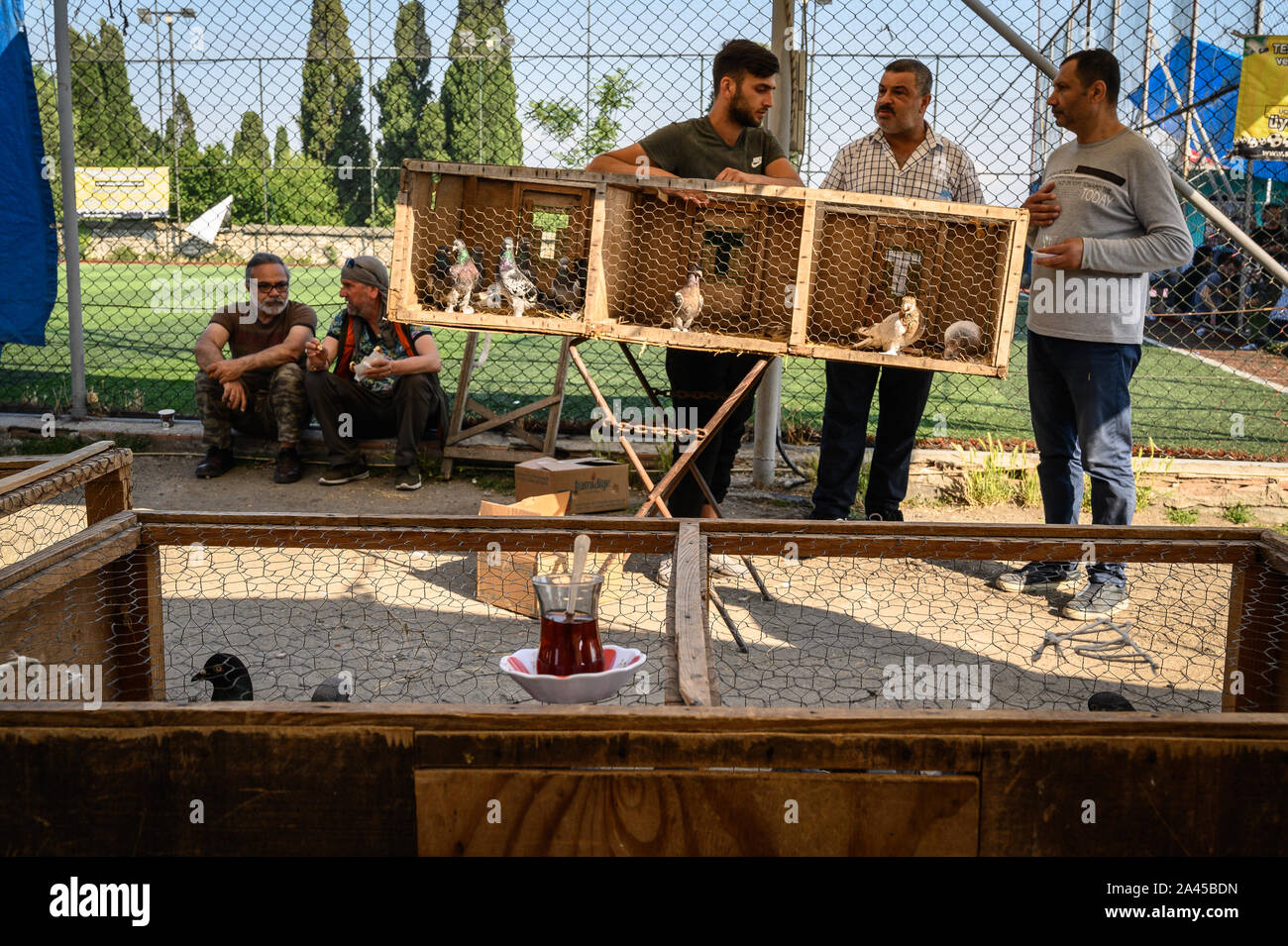 Pigeon market Banque de photographies et d’images à haute résolution ...