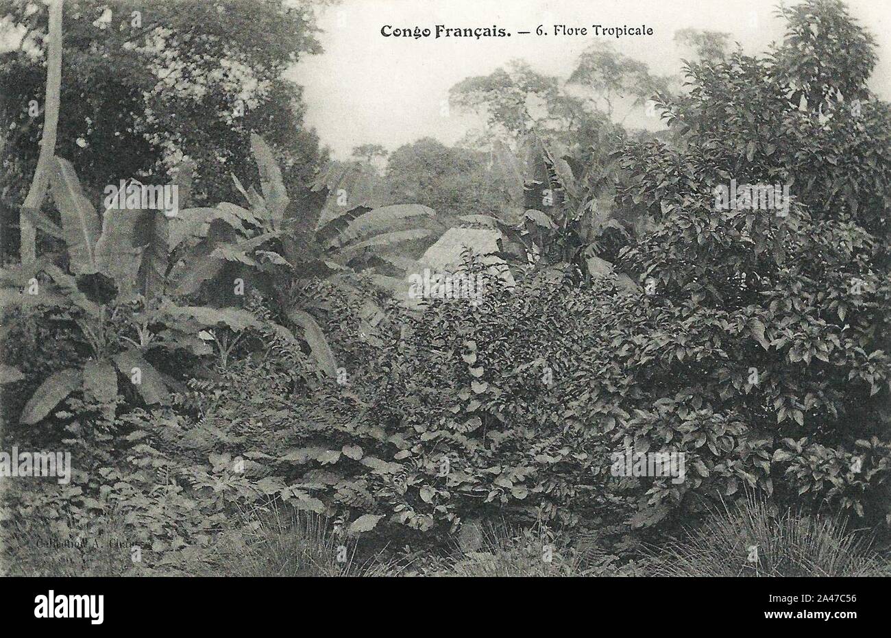 Congo francais Banque de photographies et d’images à haute résolution ...