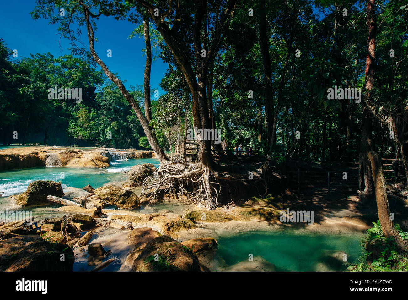 Parque nacional palenque Banque de photographies et d’images à haute résolution - Alamy