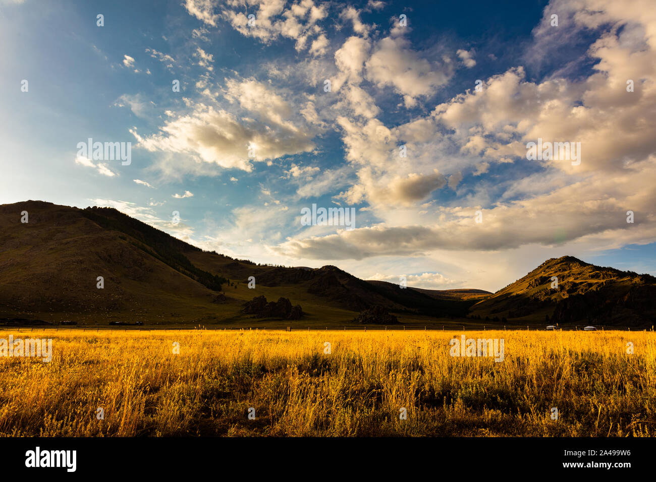 Mongolian steppe Banque de photographies et d’images à haute résolution ...