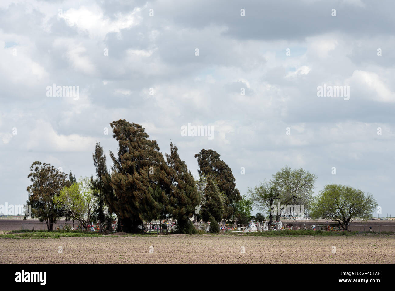 L'Landrum (parfois appelé Los Flores), cimetière, un cimetière de pays ...